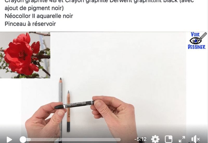 Formation de dessin en ligne – Voir et Dessiner